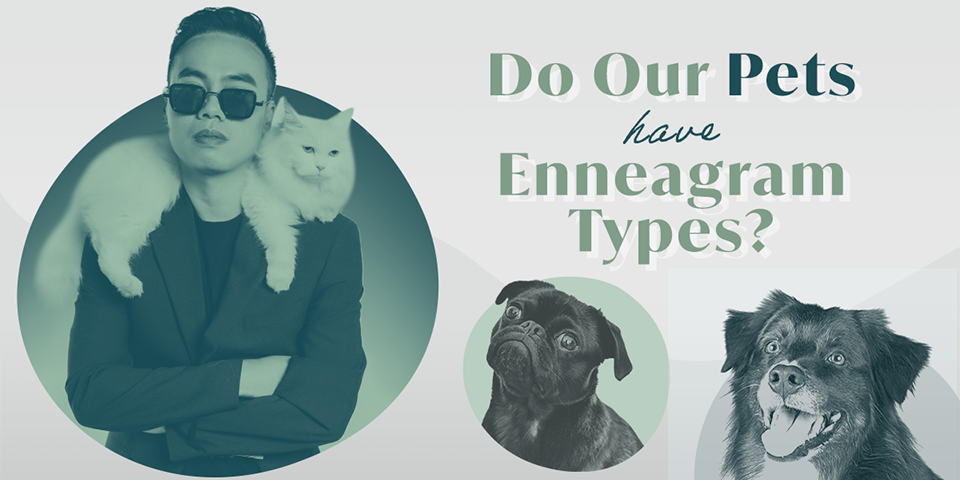 Do Our Pets Have Enneagram Types? | True You Journal
